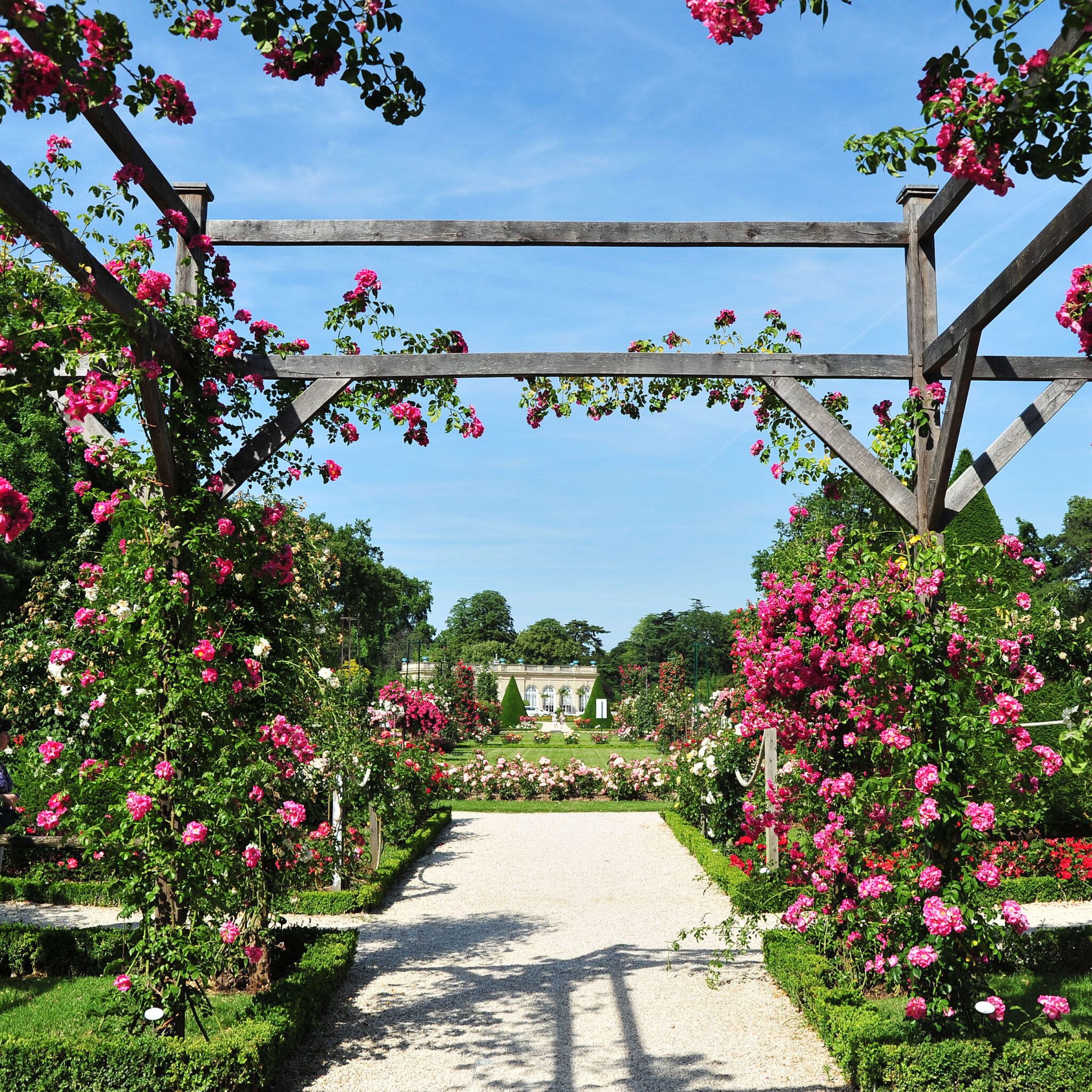 Where to Smell the Roses: Five of Paris’s Prettiest Rose Gardens ...
