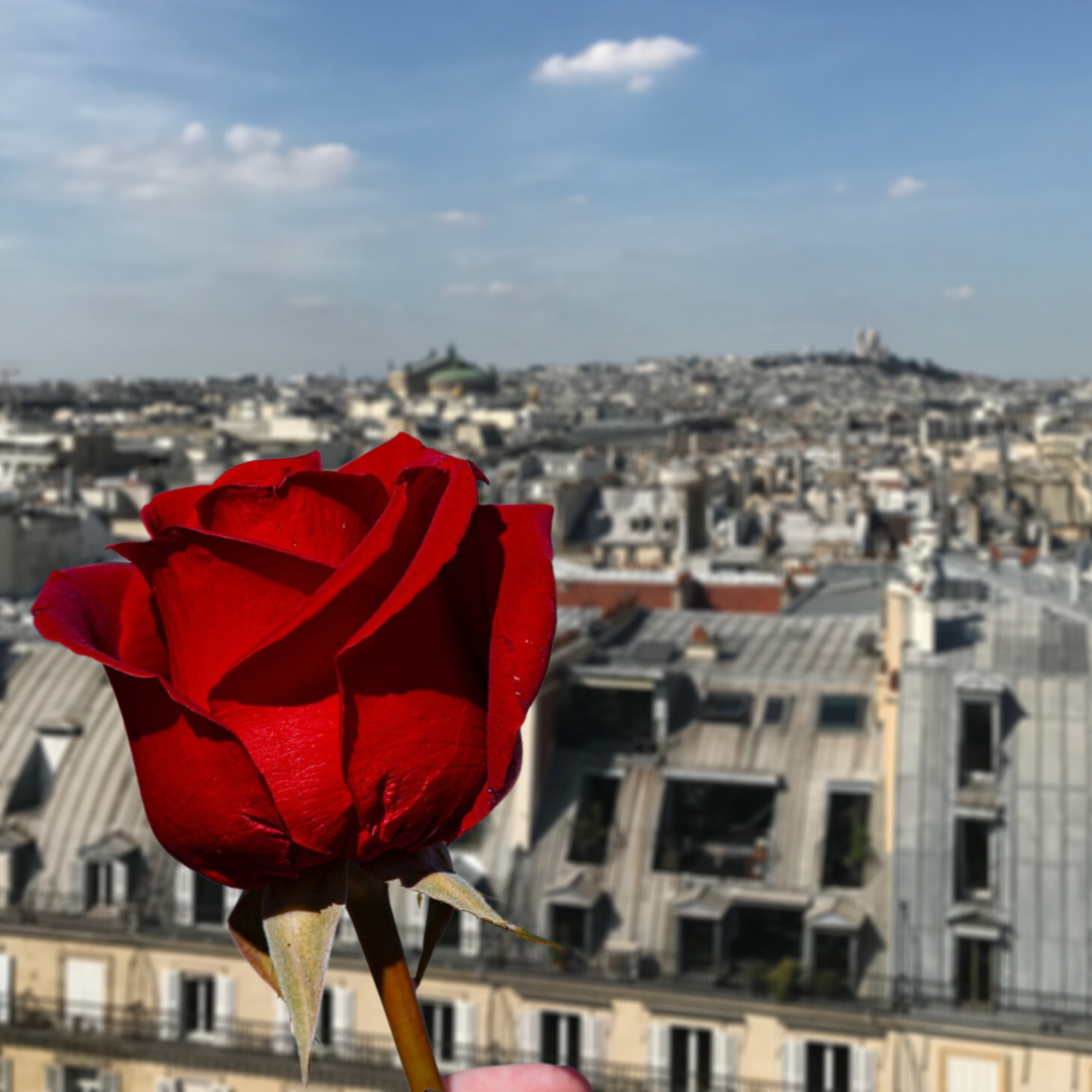 Where to Smell the Roses: Five of Paris’s Prettiest Rose Gardens ...